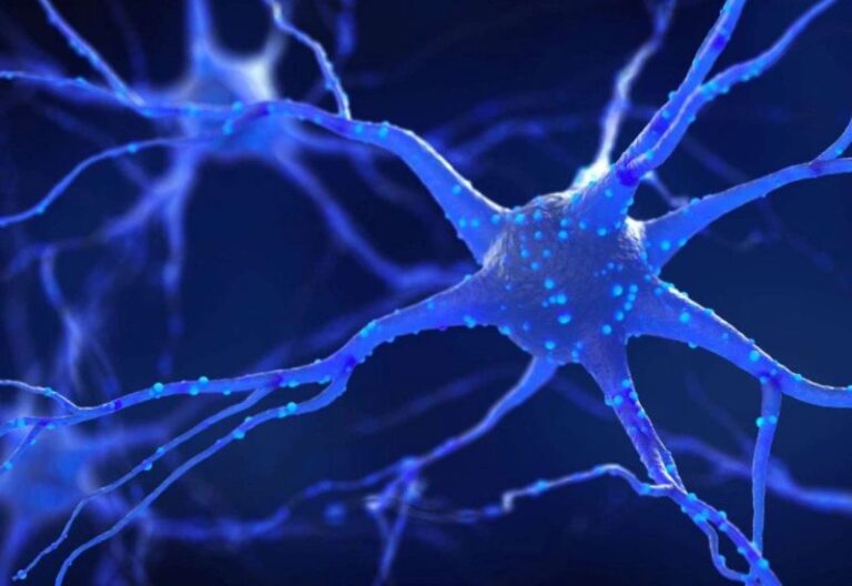 What is Myelin and how does Myelin depletion affect brain function ...